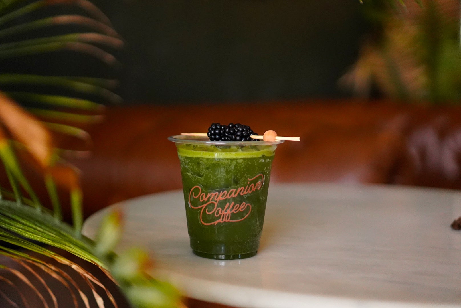 Matcha Blackberry Soda | Companion Coffee Roasters