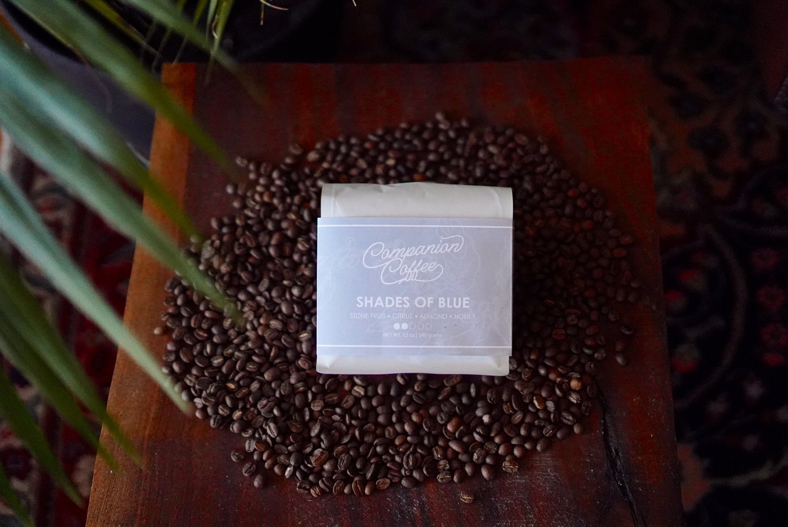 Shades of Blue | Companion Coffee Roasters
