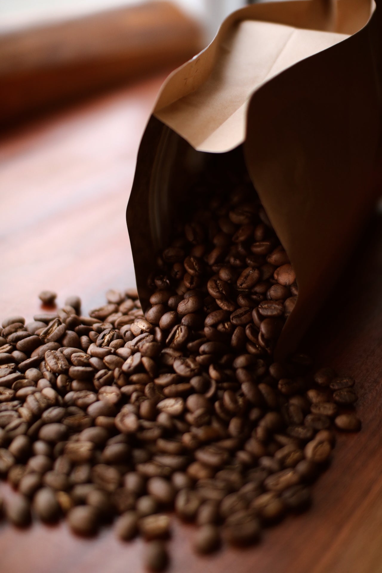 Groundhog Drip Blend | Companion Coffee Roasters